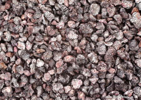 Cochineal Dye sales